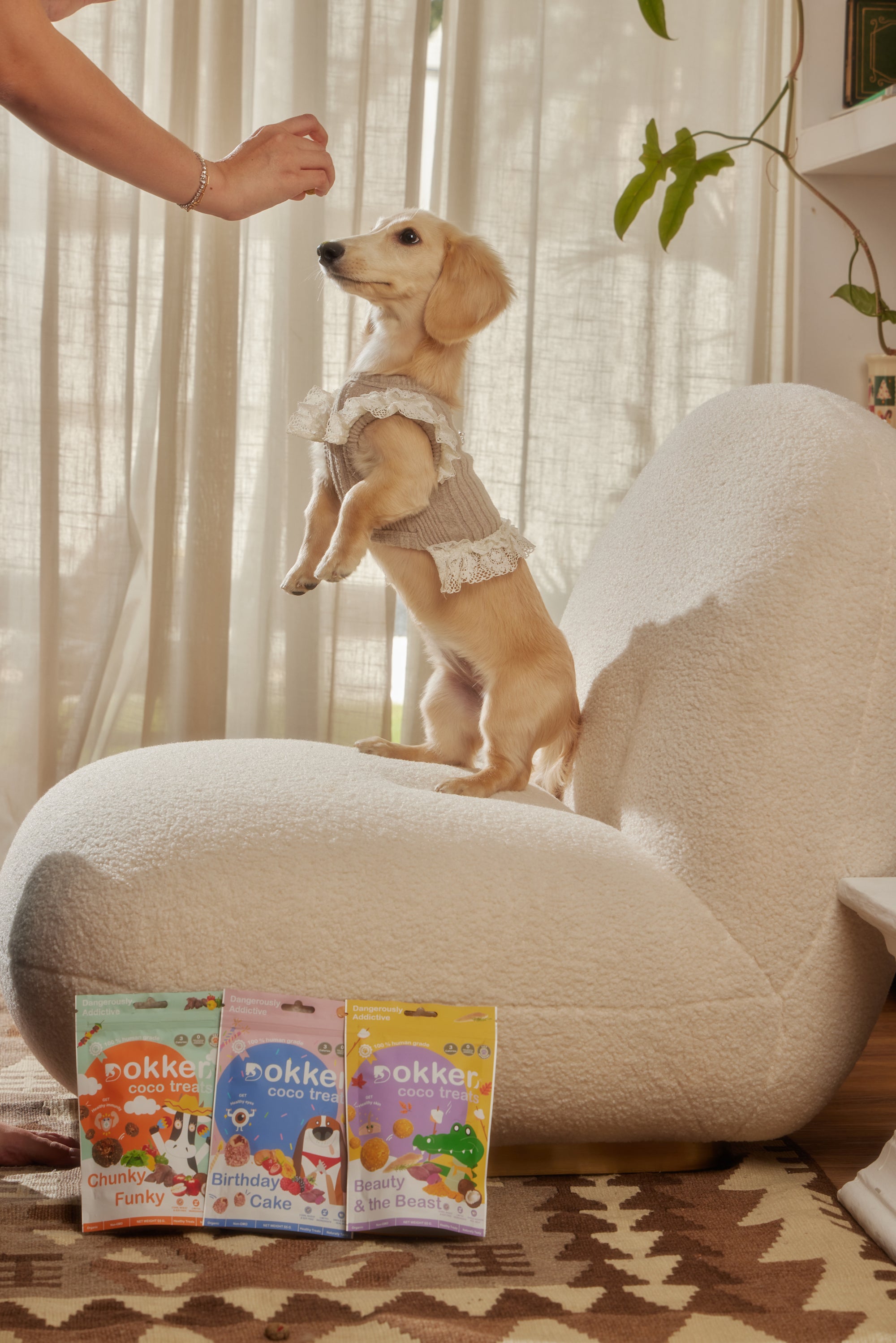 Create the best life together with Le Bubu Pets