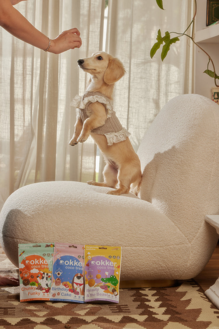 Create the best life together with Le Bubu Pets